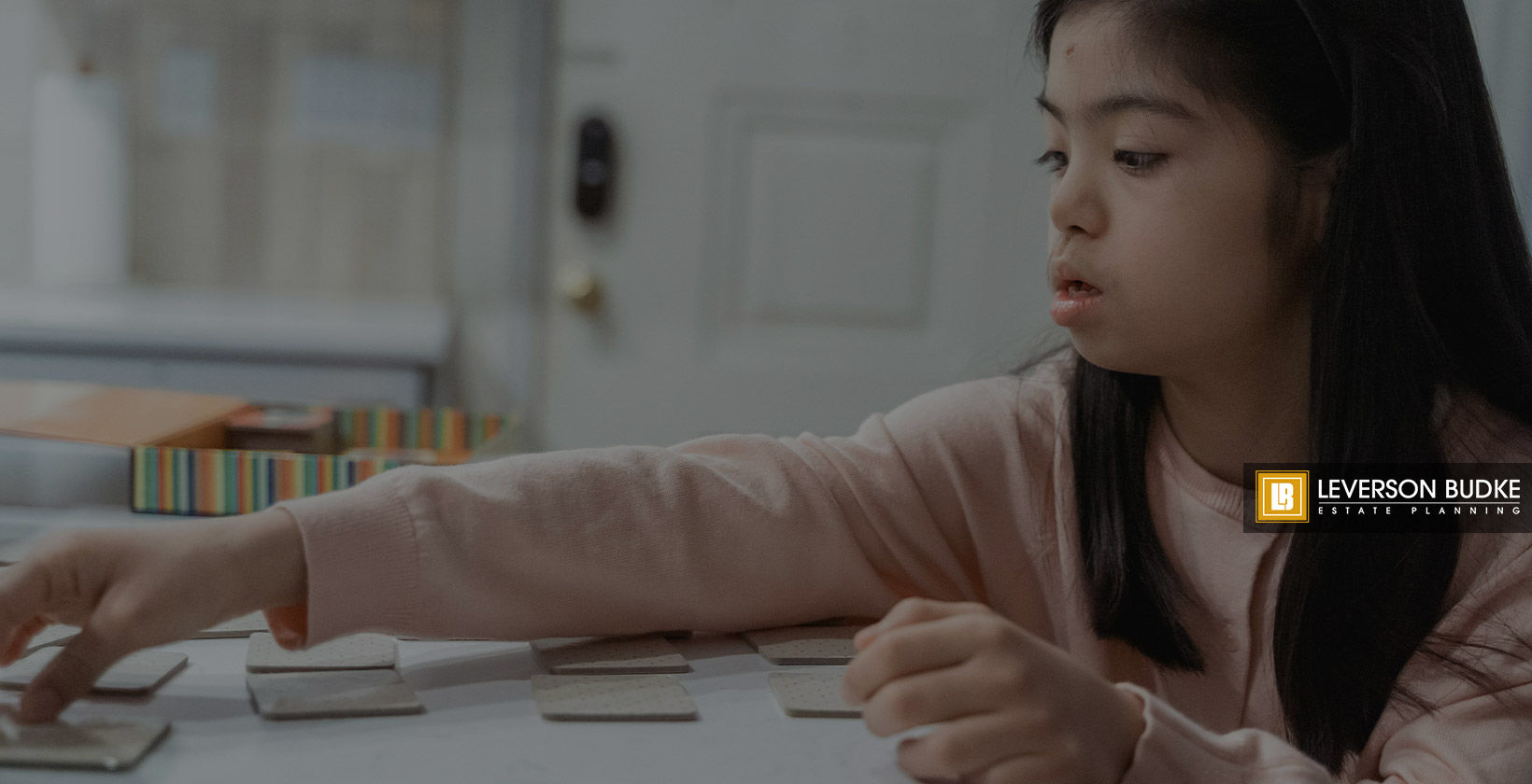 Understanding Different Types Of Special Needs Plans - Leverson Budke