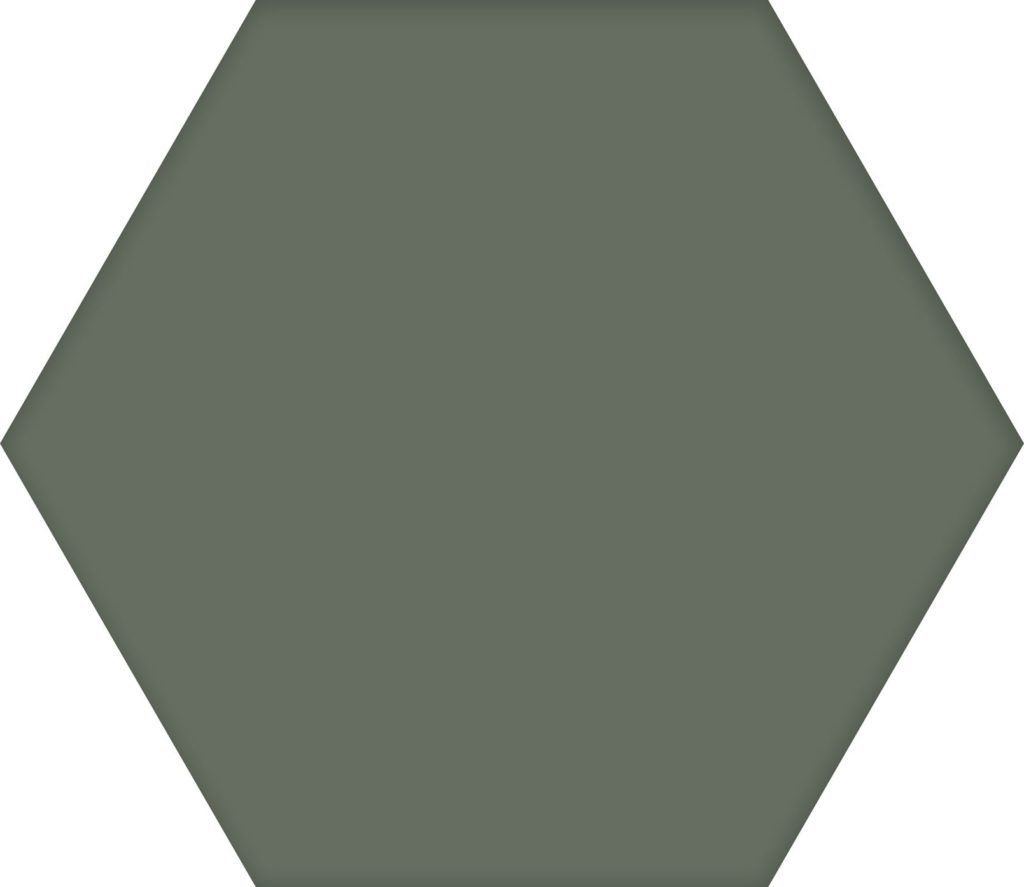 HEXAGONAL BASIC MOSS 25x22 (Caja de 1,04 m2) — Cerámicas Ripoll