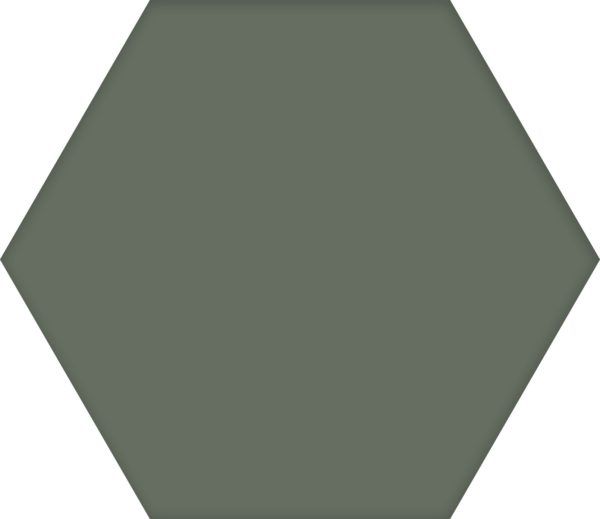 HEXAGONAL BASIC MOSS 25x22 (Caja de 1,04 m2) — Cerámicas Ripoll