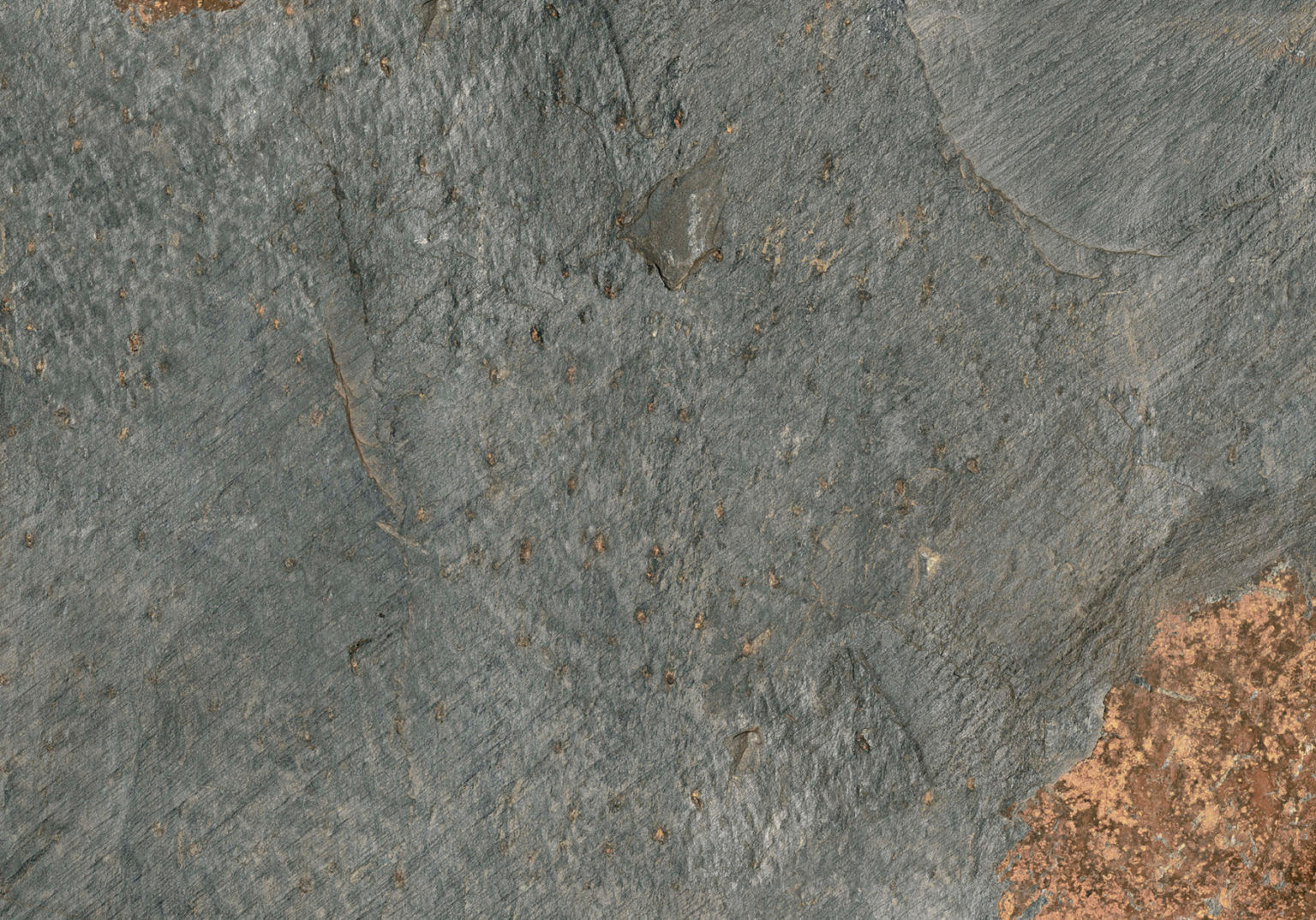 JAVA BLACK 44x66 (Caja de 1.16 m2) — Cerámicas Ripoll