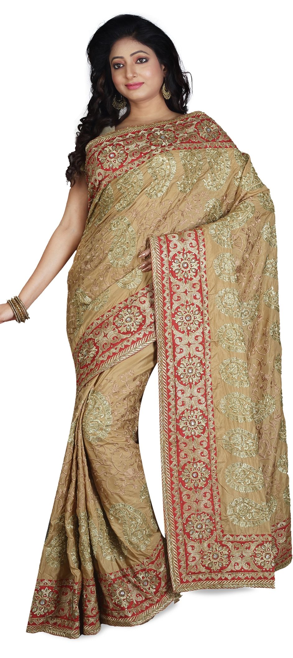 Raw Silk - Embroidered - Sarees: Shop online Bridal Wedding Sarees ...