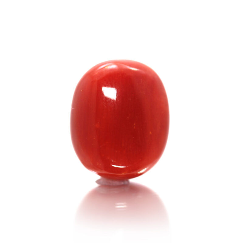 Red Coral Stone Online, Red Coral (Moonga) Stone Price Per Carat or ...