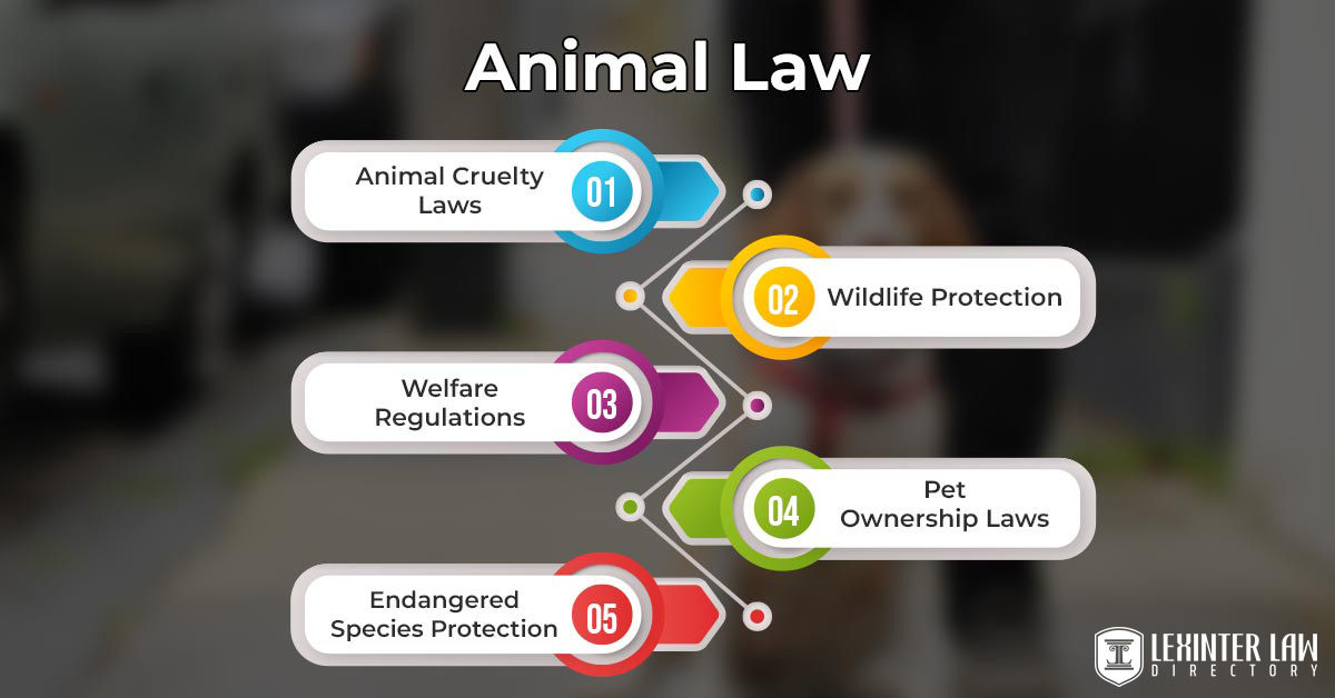 Types Of Law: Fields Of Legal Expertise And Attorneyship - Lexinter