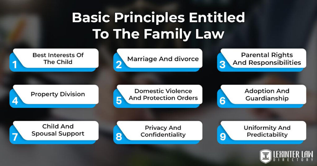 Family Law: Basic Principles For Domestic Relations - Lexinter