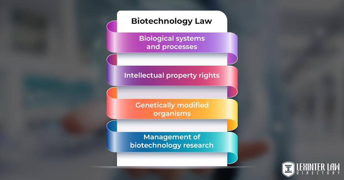 Types Of Law: Fields Of Legal Expertise And Attorneyship - Lexinter