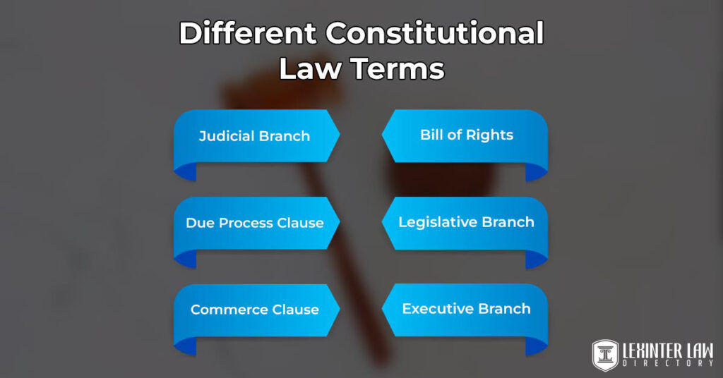 What Is Constitutional Law? - Lexinter