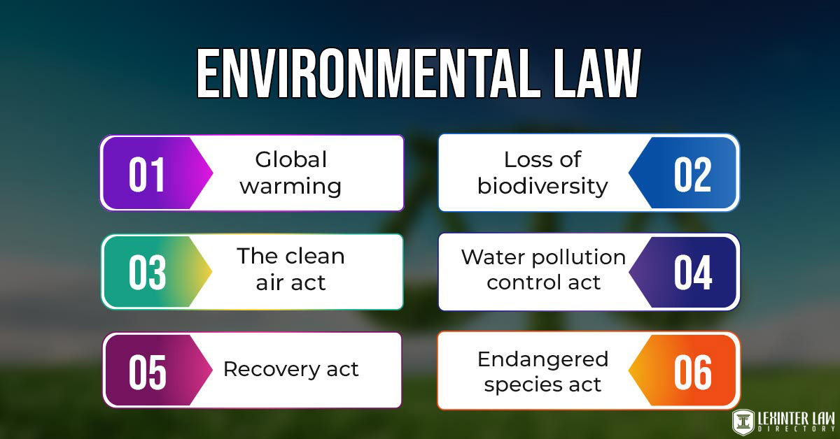 Types Of Law: Fields Of Legal Expertise And Attorneyship - Lexinter