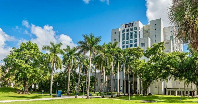 10 Best Law Schools In Florida - Lexinter