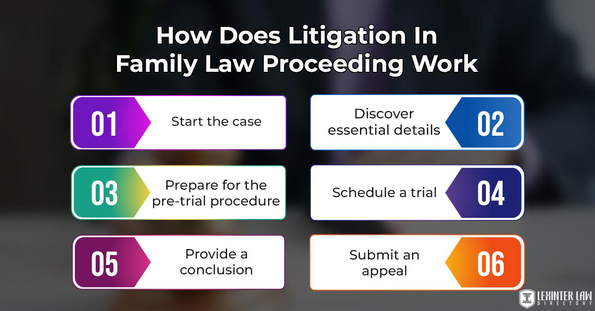 Family Law: Basic Principles For Domestic Relations - Lexinter