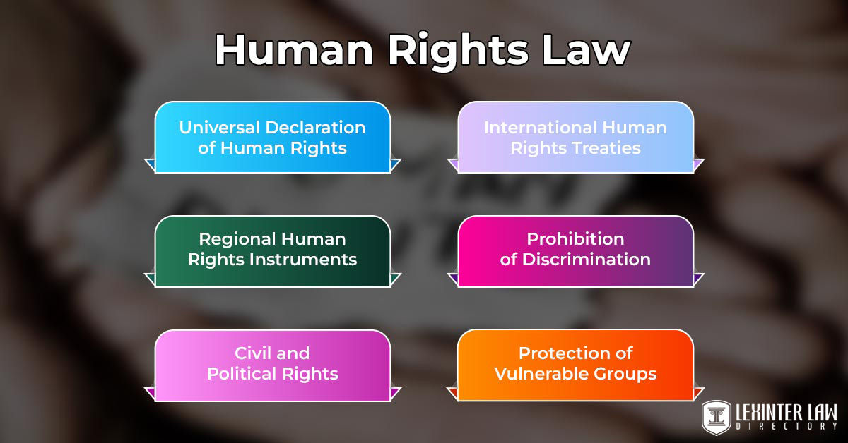 Types Of Law: Fields Of Legal Expertise And Attorneyship - Lexinter