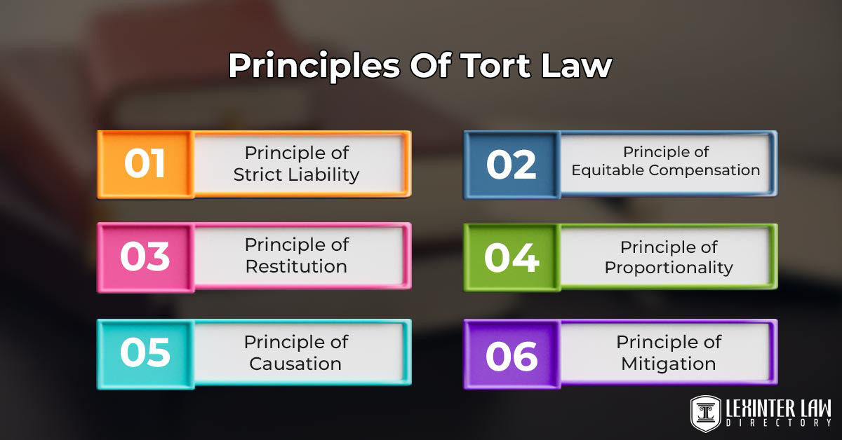 Civil Law: A Comprehensive Guide To Legal Principles - Lexinter