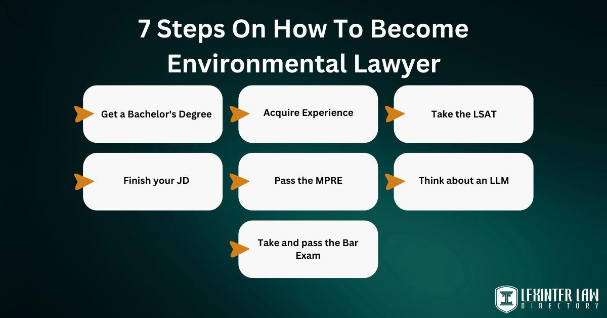 7 Essential Steps On How To Become An Environmental Lawyer - Lexinter