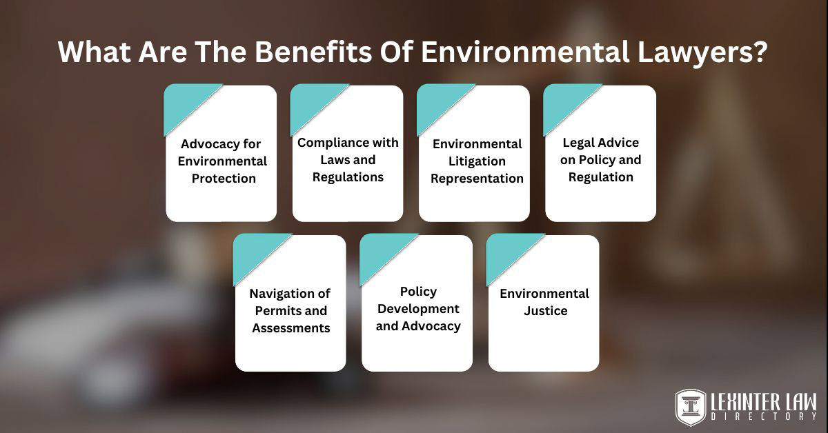 7 Essential Steps On How To Become An Environmental Lawyer - Lexinter