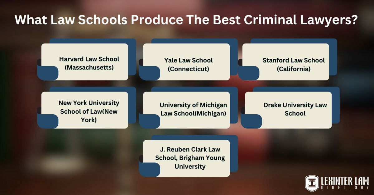 10 Steps On How To Become A Criminal Lawyer - Lexinter