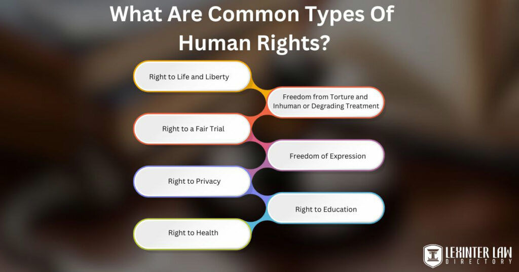 How To Become A Human Rights Lawyer: Essential Steps And Education ...