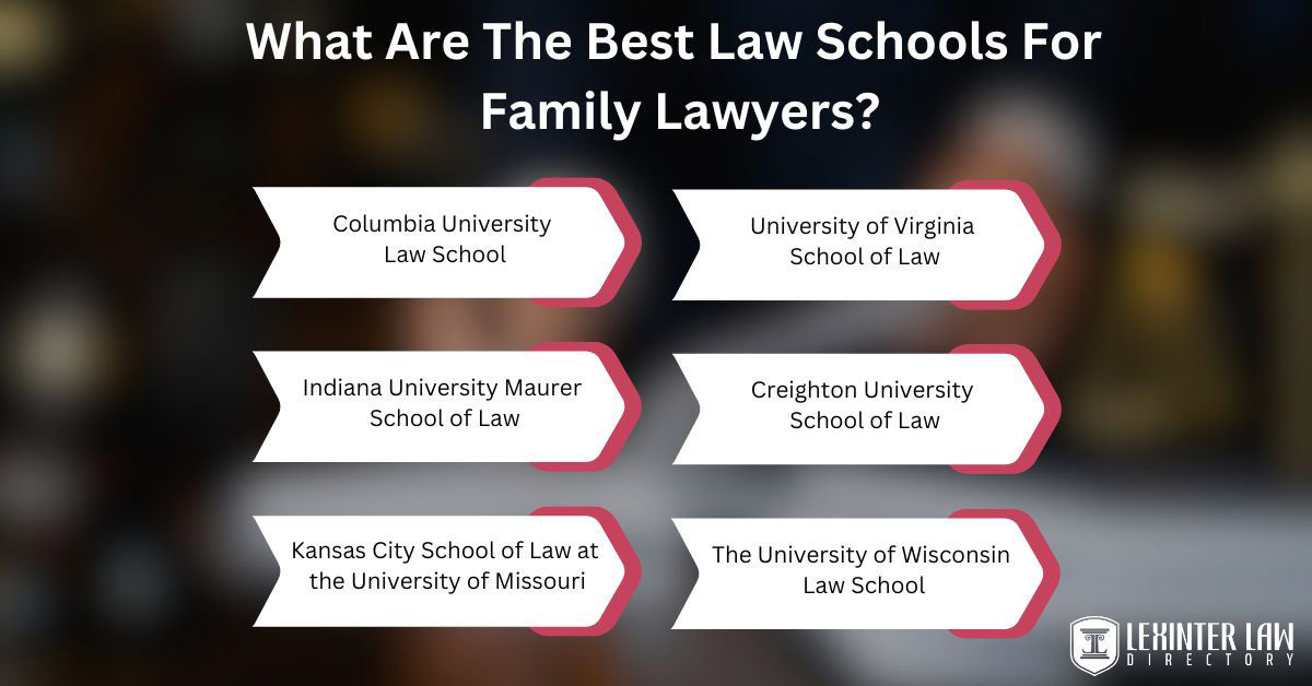 6 Essential Steps On How To Become A Family Lawyer - Lexinter