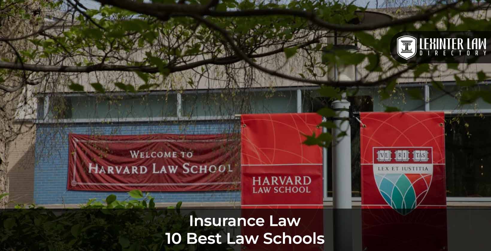 10 Best Law Schools For Insurance Law - Lexinter