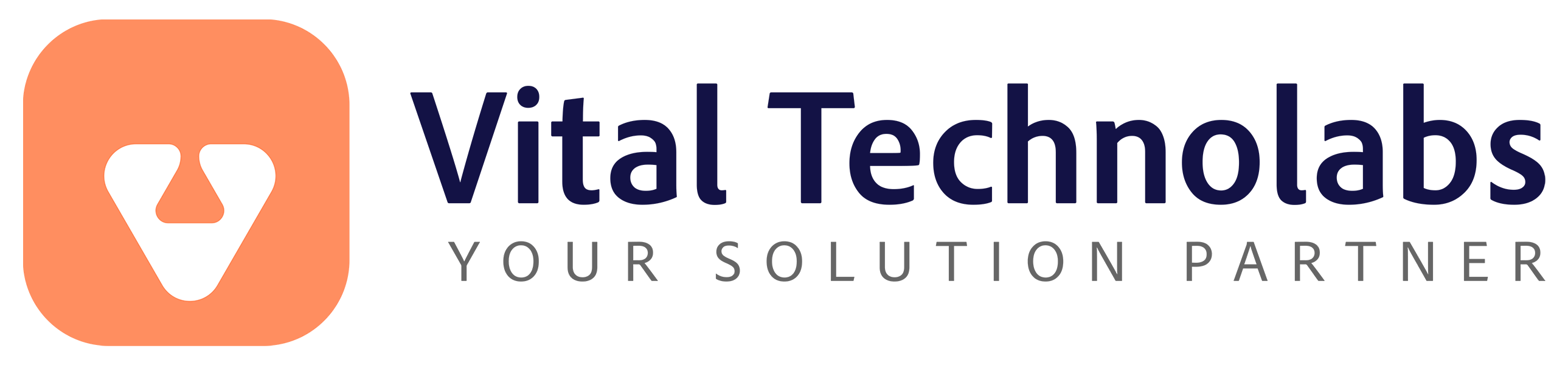 Top Website & Mobile App Development Company In USA & India | Vital Technolabs
