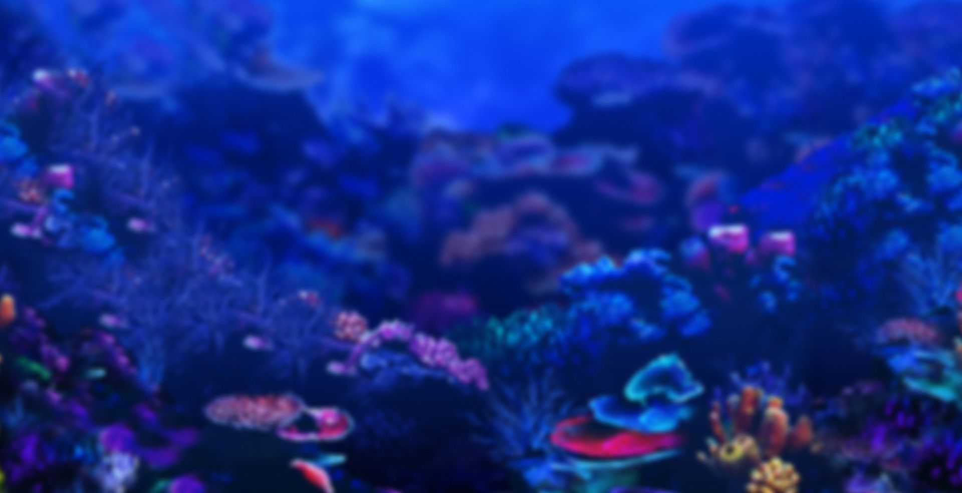 Play Slingo Shark Week | 95.68% RTP | Real Money Games