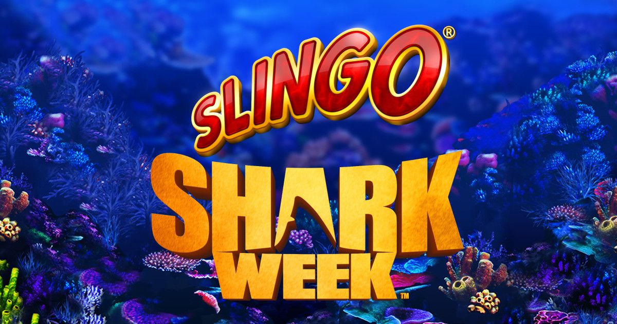 Play Slingo Shark Week | 95.68% RTP | Real Money Games
