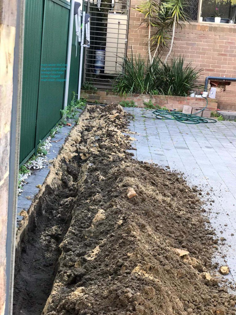 How to Clear Clogged Drains and Keep Your Sewer Lines Flowing in Sydney