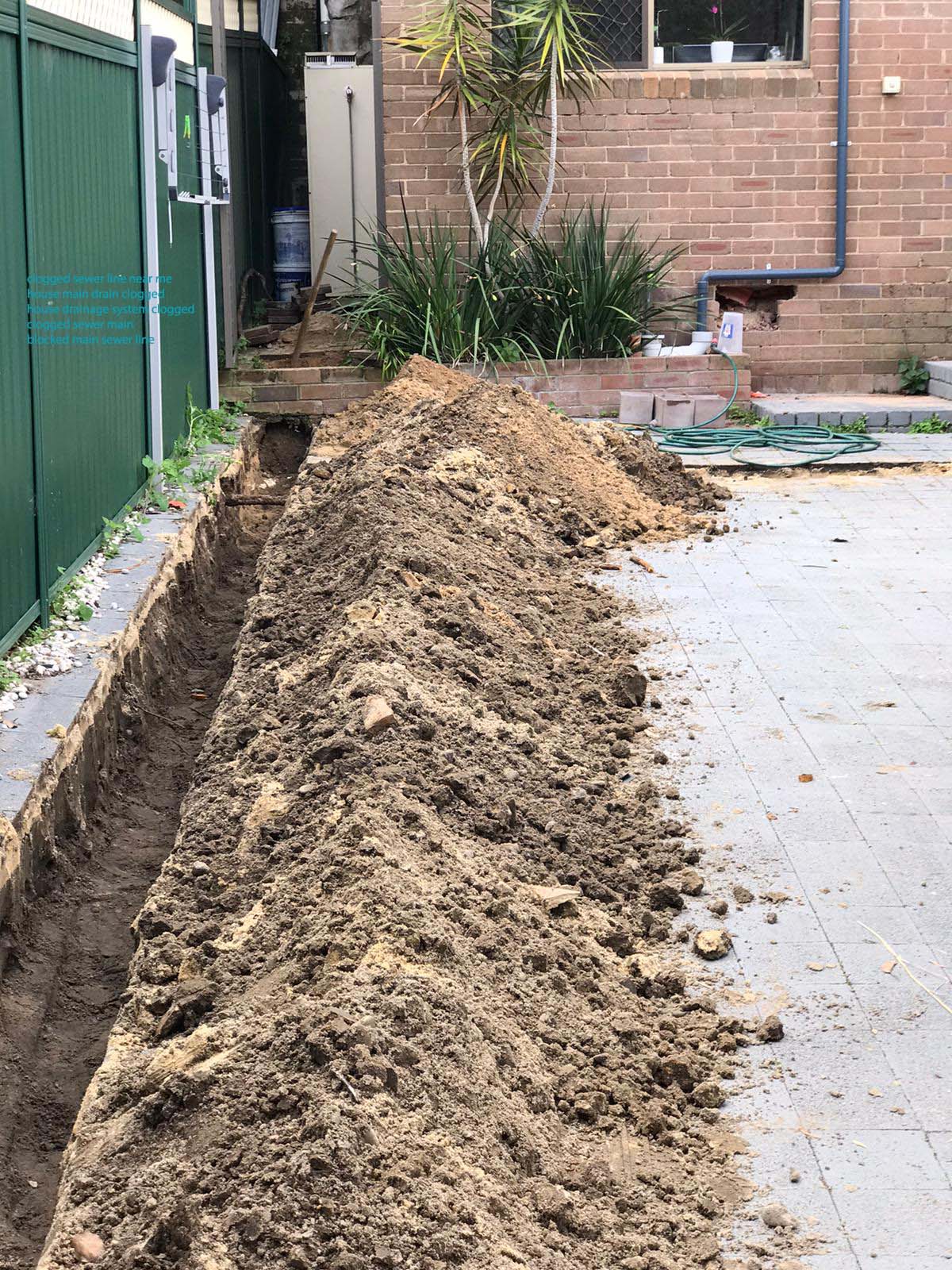 How to Clear Clogged Drains and Keep Your Sewer Lines Flowing in Sydney