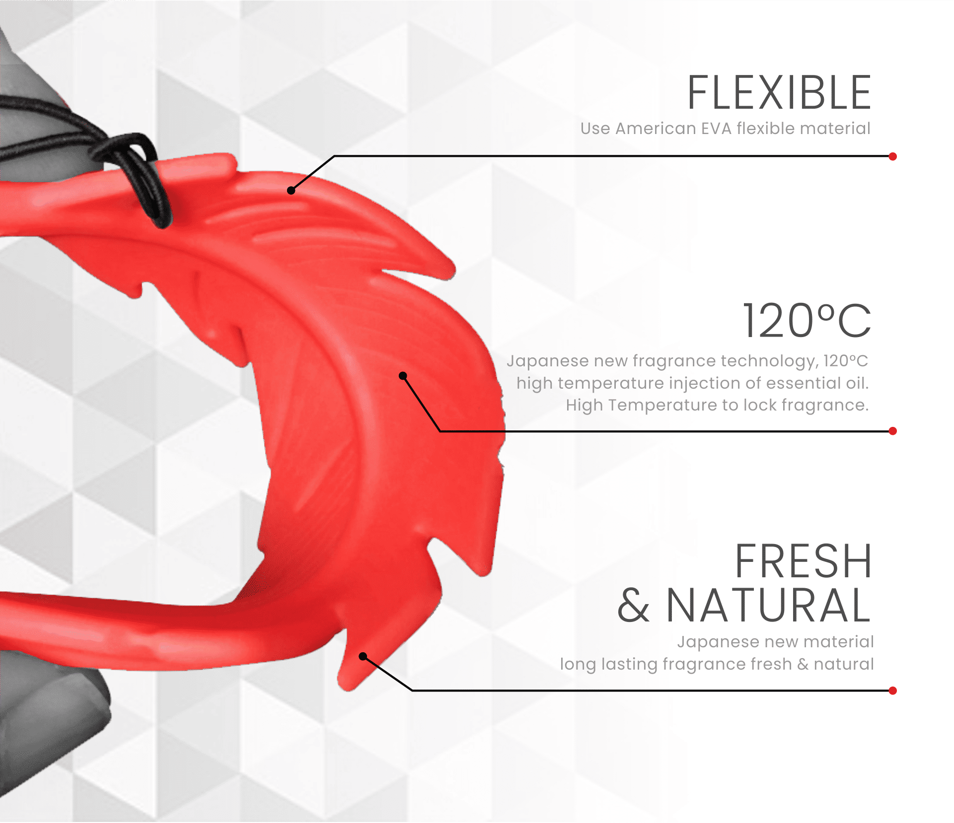 Detailing Devils India pvt. Ltd. | Home