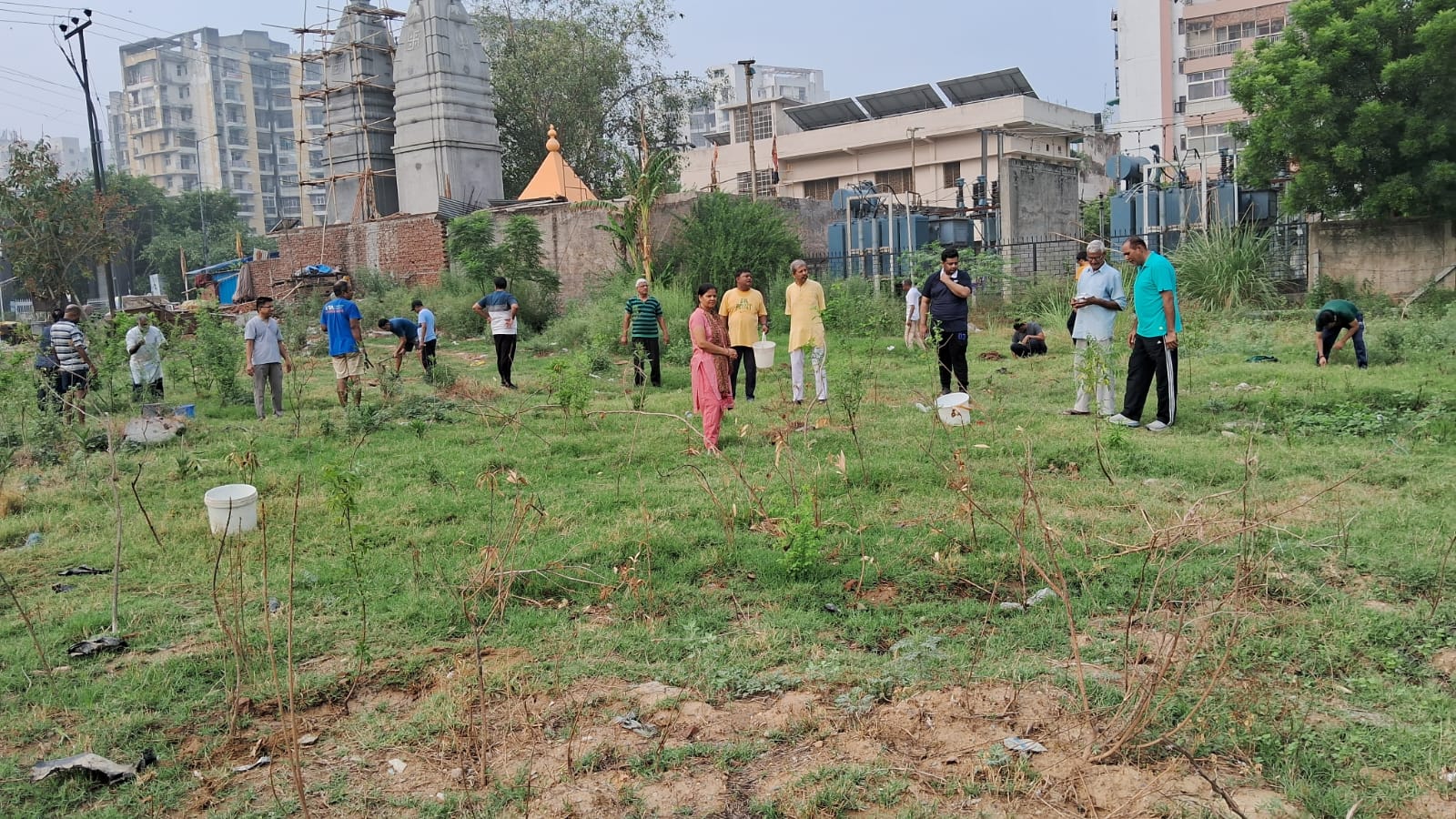 Hundreds of Neem and Peepal Trees Planted in Raj Nagar Extension Mini ...