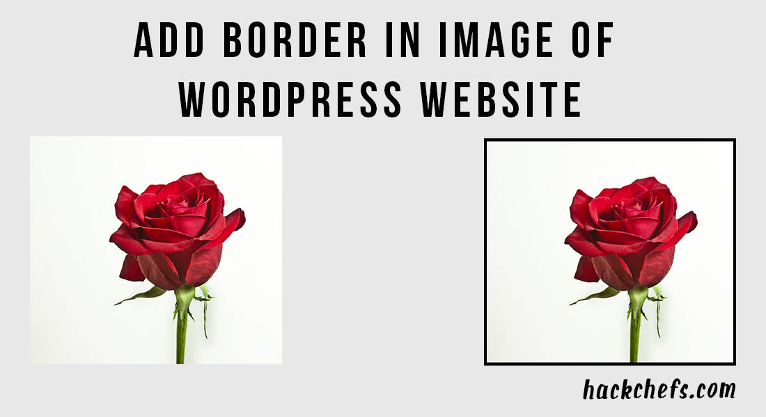 How To Add Border To Image In Wordpress Website Without Plugin