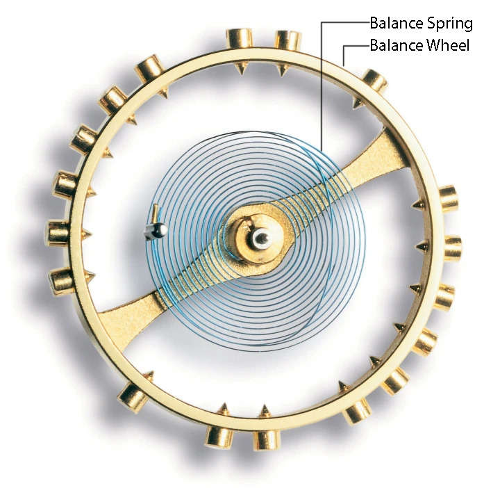 An Introduction To The Various Components Inside A Mechanical Watch ...