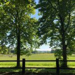 Home - Windlesham Society