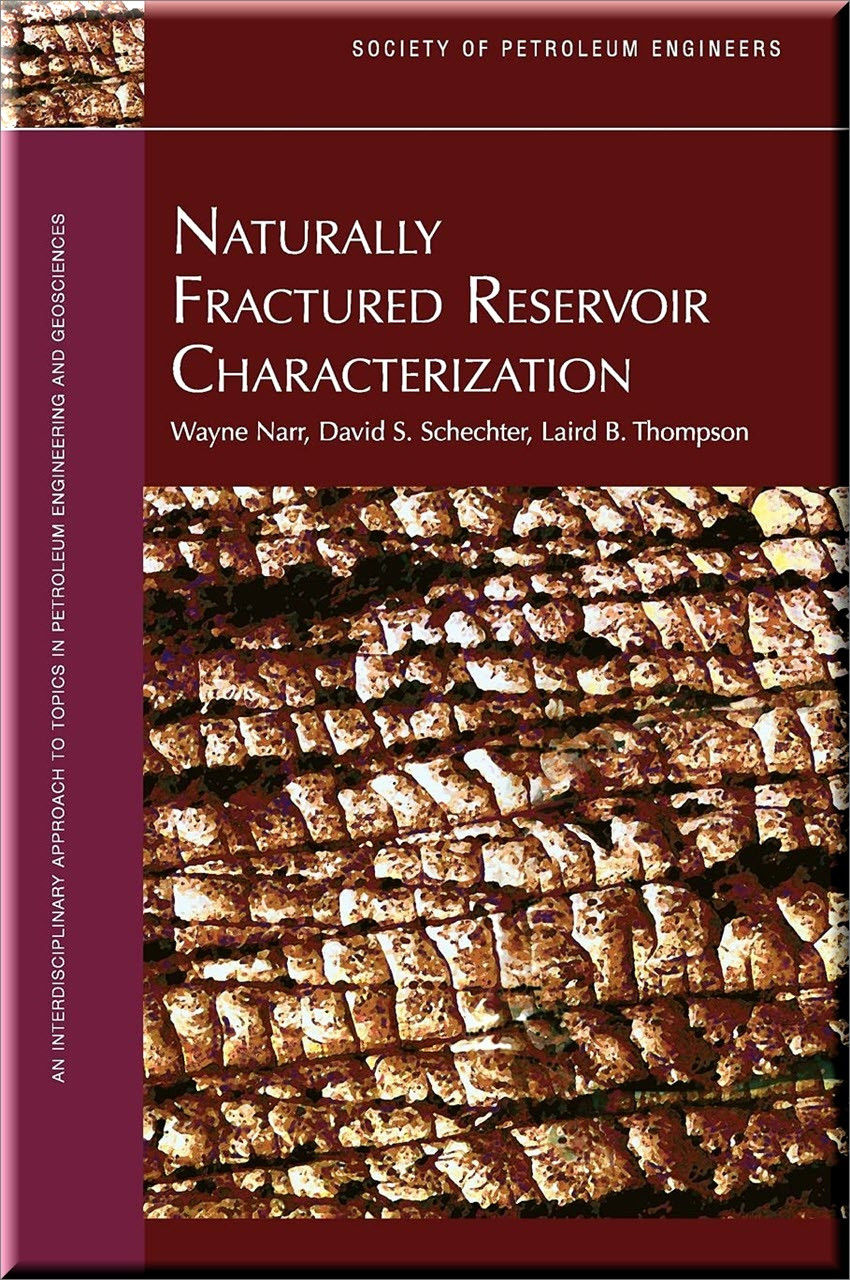 Naturally Fractured Reservoir Characterization
