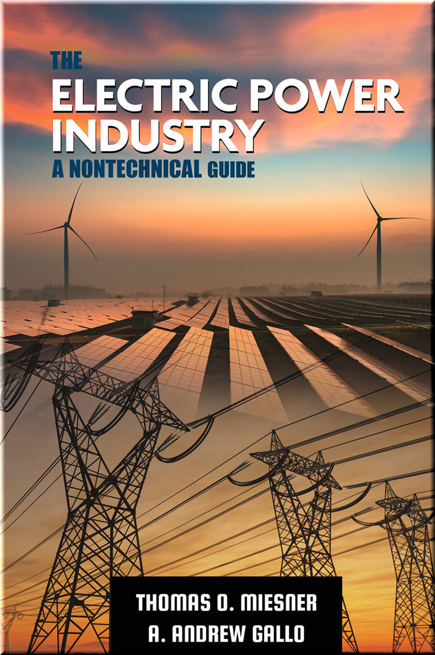 The Electric Power Industry: A Nontechnical Guide