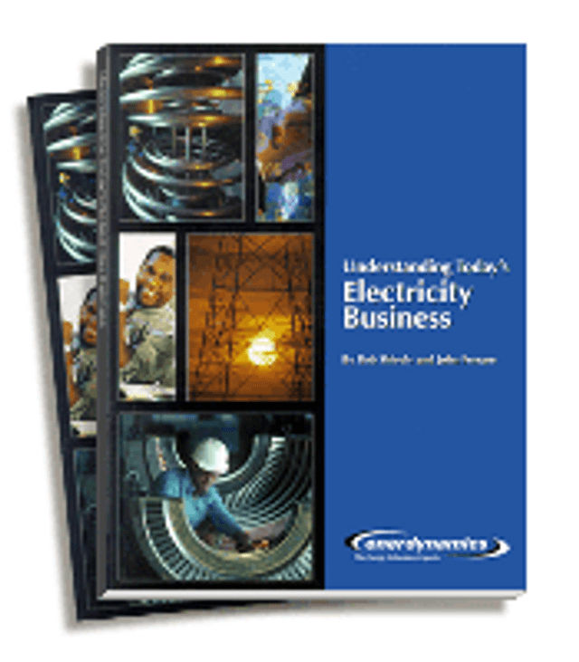 Understanding Today's Electricity Business Understanding Today's Electricity Business