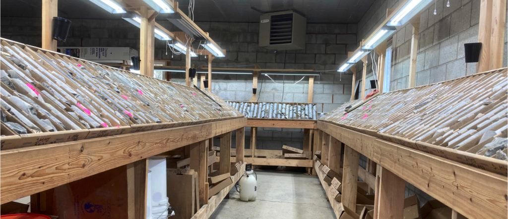 Design and Construction Of Onsite Field and Logging Faciliti | Alzare