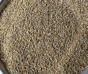 Rajgira (Amaranth Millet)
