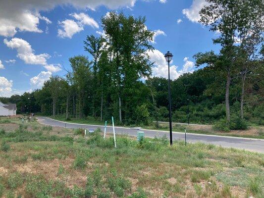 .32 acre flat lot in West Conway within Sylvia Springs subdivision ...