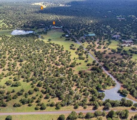 4000 Sq Ft Cabin Ranch Home On 40 Acres of Pine, Spruce, Cedar ...