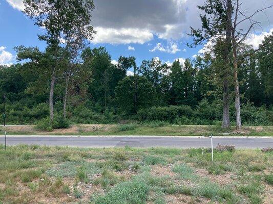 .32 acre flat lot in West Conway within Sylvia Springs subdivision ...