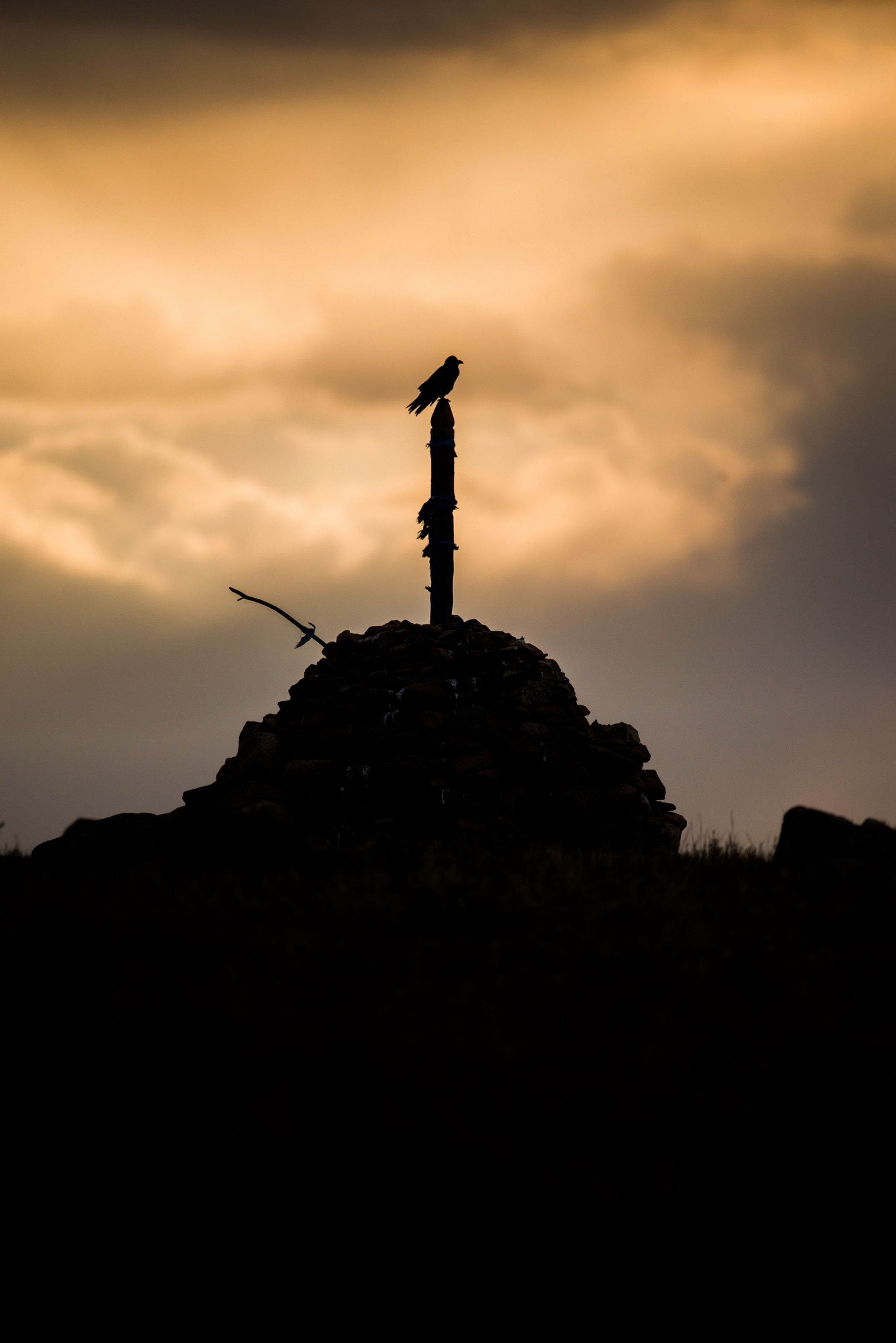 Reisverslag Mongolië voor sneeuwluipaard en pallaskat