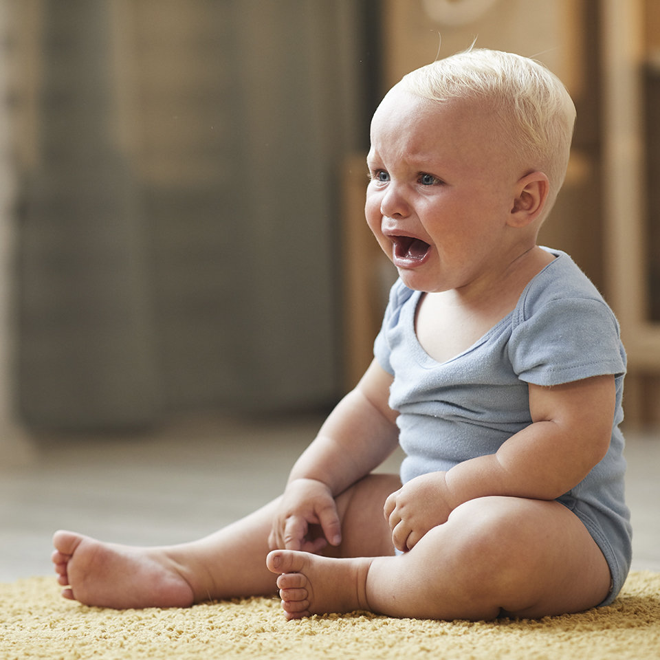 Cómo manejar las pataletas - Gestar con Amor Gestar con Amor