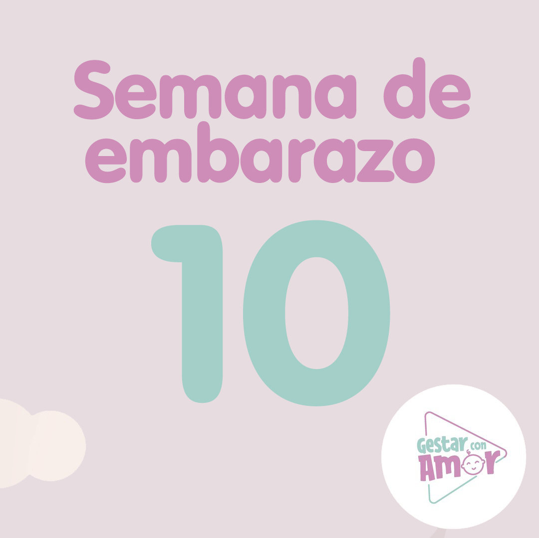 Semana 10 de embarazo - Aprende con Gestar con amor