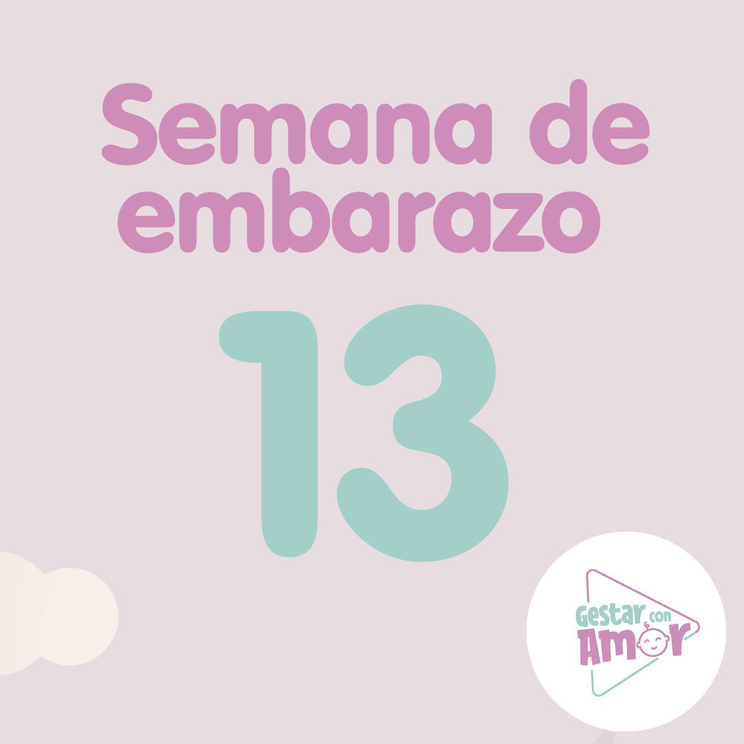 Semana 13 de embarazo - Aprende con Gestar con amor