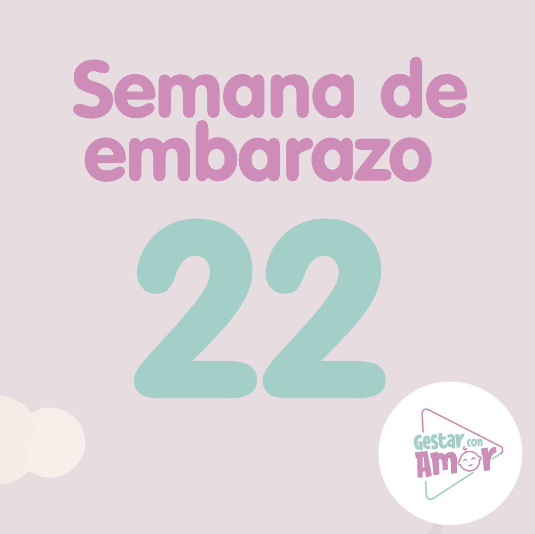 Semana 22 de embarazo - Aprende con Gestar con amor