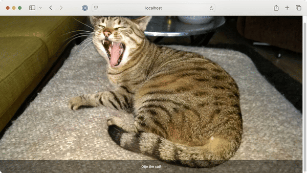 Getting Started With The Nicegui Library In Python