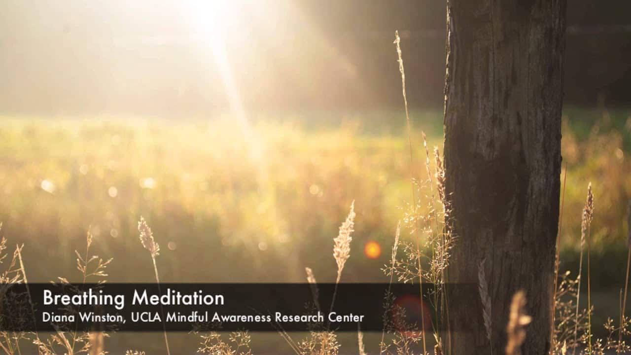 Breathtaking Powerful Icelandic Waterfall - The Meditation Room ...