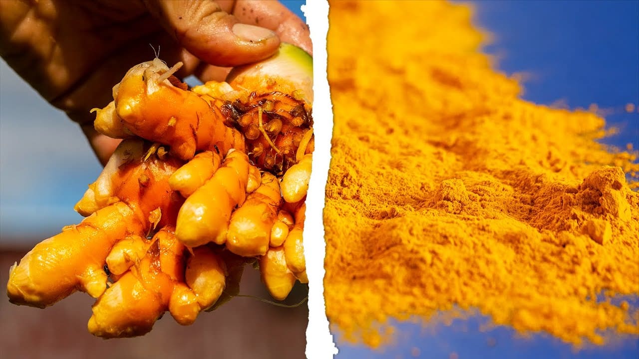 How Does Turmeric Grow? - Create Your Own Escape - Mindful Living Network