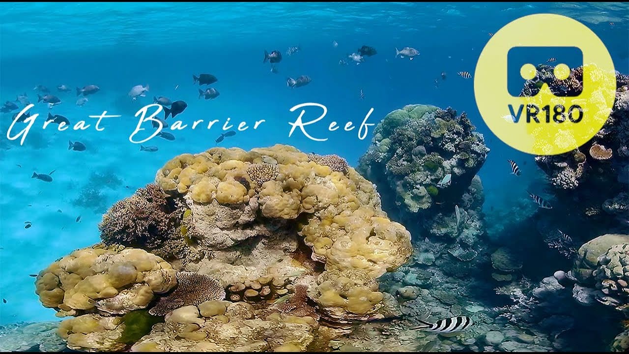 Enjoy a Virtual Dive in Australia's Great Barrier Reef - Create Your ...