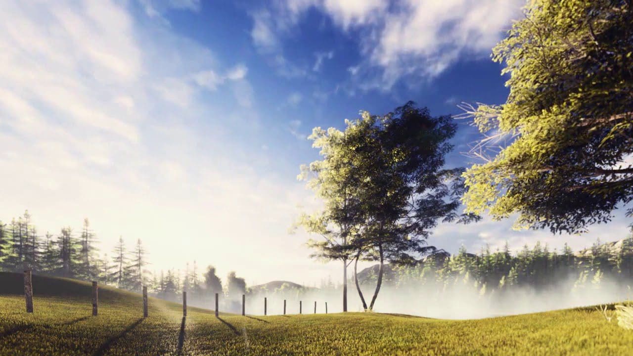 Quiet Field Covered in Morning Dew - The Meditation Room® - Mindful ...