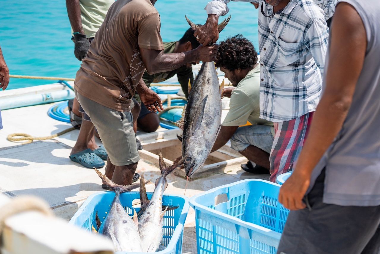 "A good beginning": MIFCO purchases yellowfin tuna after fishermen's ...